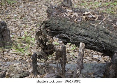 71 Simple Dead Log Images, Stock Photos & Vectors | Shutterstock