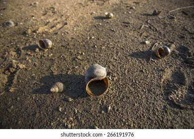 Dextral Images, Stock Photos & Vectors | Shutterstock