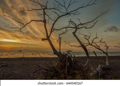 27,170 Sunset dead trees Images, Stock Photos & Vectors | Shutterstock