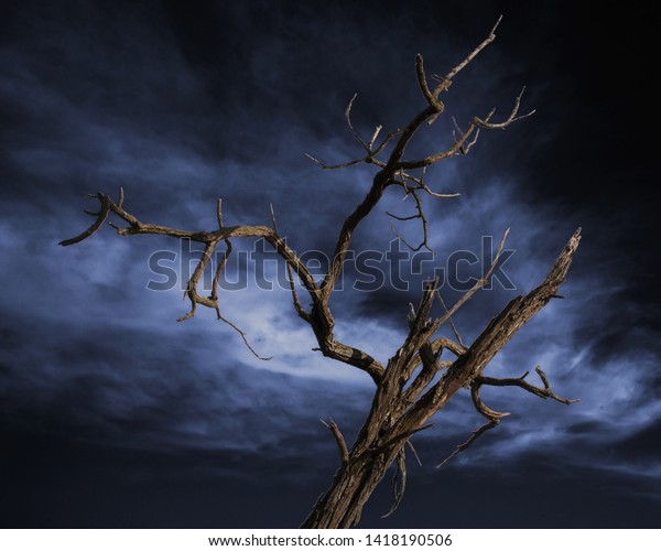 Dead Tree Dark Cloudy Background Stock Photo 1418190506 | Shutterstock
