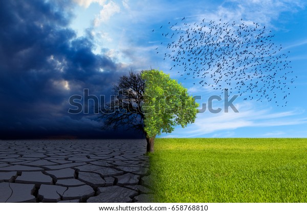 Dead Tree On One Side Living Stock Photo 658768810 | Shutterstock