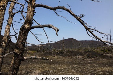 755 Volcanic Slag Images, Stock Photos & Vectors | Shutterstock