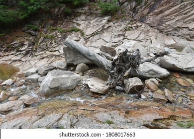 279 Stuck between rocks Images, Stock Photos & Vectors | Shutterstock