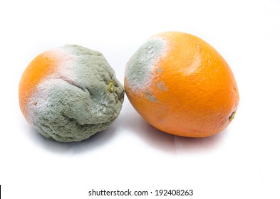 14,323 Rotten orange Images, Stock Photos & Vectors | Shutterstock