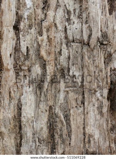 Decay Wood Texture Stock Photo 511069228 | Shutterstock