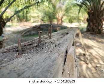 Decayed Plank Woods Corroded Nails Laying Stock Photo 1464183263 ...