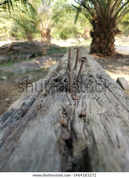 Decayed Plank Woods Corroded Nails Laying Stock Photo 1464183272 ...