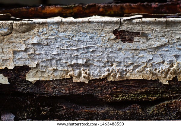 Decayed Wood Window Frame Close Macro Stock Photo 1463488550 | Shutterstock