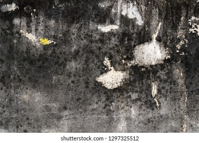 Decaying Wall Texture Background Stock Photo 1297325512 | Shutterstock