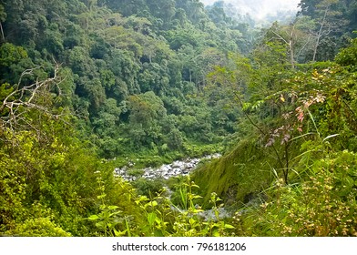 Waterfalls Valley Flowers Nanda Devi Biosphere Stock Photo (Edit Now ...