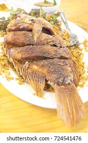101 Garoupa fish Images, Stock Photos & Vectors | Shutterstock