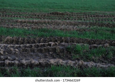 1,163 Deep Ruts Images, Stock Photos & Vectors | Shutterstock