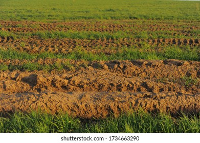 1,163 Deep Ruts Images, Stock Photos & Vectors | Shutterstock
