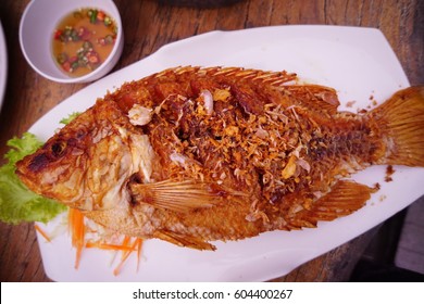 101 Garoupa fish Images, Stock Photos & Vectors | Shutterstock