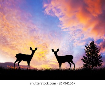 23,582 Hunting sunrise Images, Stock Photos & Vectors | Shutterstock