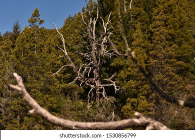Deferentially Images, Stock Photos & Vectors | Shutterstock