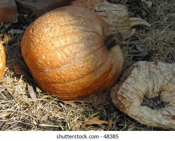 25 imágenes de Deflated pumpkins - Imágenes, fotos y vectores de stock ...
