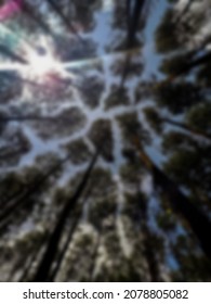 Defocused Trees Background Object On Sky Stock Photo 2078805082 ...