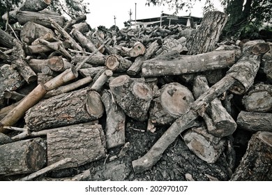 Deforestation Cutting Down Trees Stock Photo 202970107 | Shutterstock