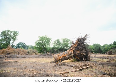 3,059 Problems forestry Images, Stock Photos & Vectors | Shutterstock
