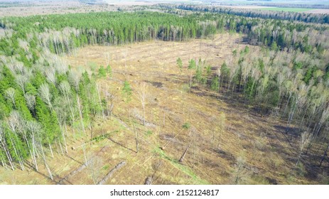 5,539 Deforestation scene Images, Stock Photos & Vectors | Shutterstock