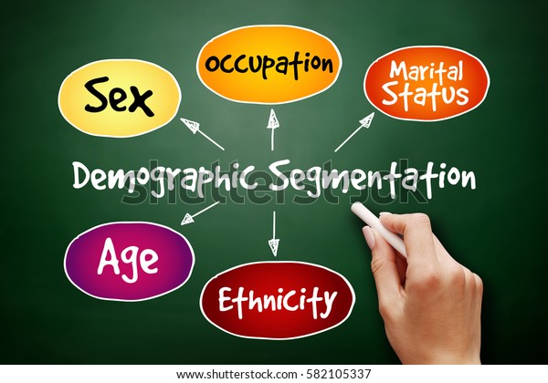 Photo de stock Demographic Segmentation Mind Map Flowchart Social ...