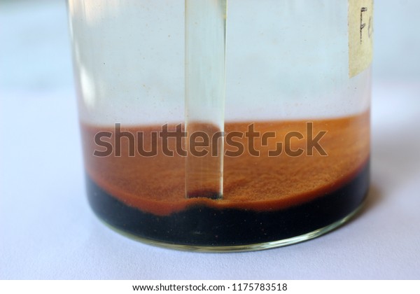 Dense Layer Precipitated Iron Hydroxide Bottom Stock Photo (Edit Now ...