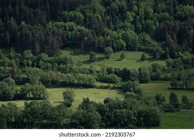 80,772 Forest form Images, Stock Photos & Vectors | Shutterstock