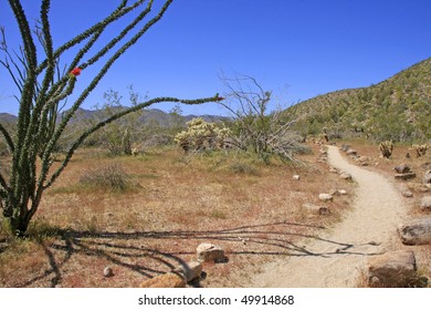 93,123 Desert path Images, Stock Photos & Vectors | Shutterstock