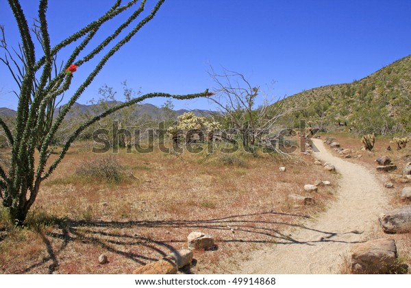 Desert Path Stock Photo 49914868 | Shutterstock