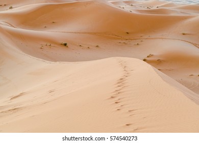 Desert Texture Stock Photo 574540273 | Shutterstock
