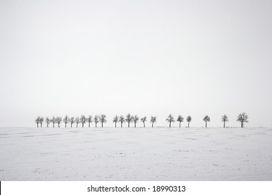 16,050 imágenes de Desolate winter - Imágenes, fotos y vectores de ...