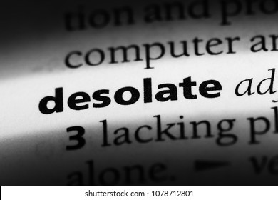 Desolate Word Dictionary Desolate Concept Stock Photo 1078712801 ...