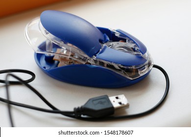 164 Smashed mouse Images, Stock Photos & Vectors | Shutterstock