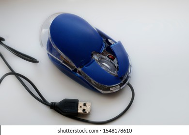 164 Smashed mouse Images, Stock Photos & Vectors | Shutterstock
