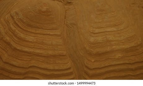 Detailed Turtle Shell Texture Stock Photo 1499994473 | Shutterstock