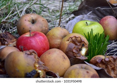 Difference Colors Between Good Apples Rotten Stock Photo (Edit Now ...