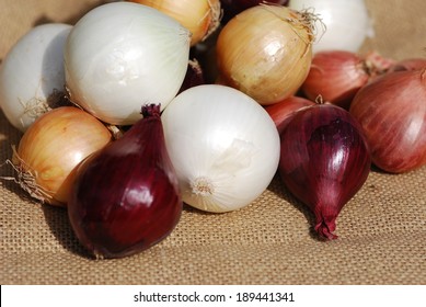 103 Charlotte Onion Images, Stock Photos & Vectors | Shutterstock