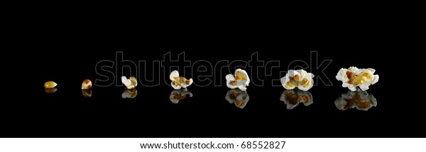 Different Stages Maize Kernel Popcorn Photographed Stock Photo 68552827 ...