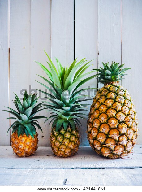 Different Tree Sizes Pineapple White Background Stock Photo 1421441861 ...