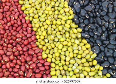 Different Kinds Bean Seeds Stock Photo (Edit Now) 107268047