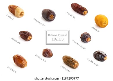 Different Types Dates Single Name Stock Photo 1197293977 | Shutterstock