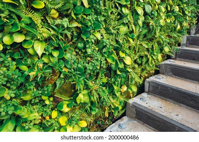 Different Types Grass Wall Seaside Resorts Stock Photo 2000000486 ...