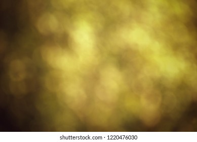 Different Types Light Backgrounds Stock Photo 1220476030 | Shutterstock