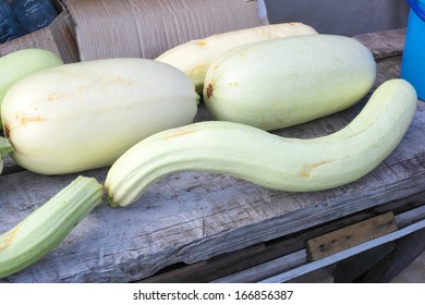 Different Types Marrows Closeup Stock Photo 166856387 | Shutterstock