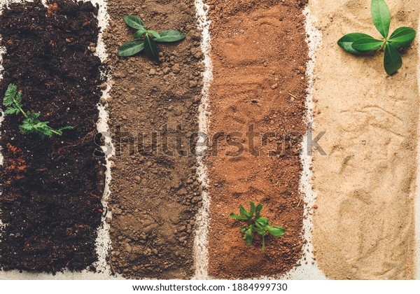 Different Types Soil Background Stock Photo 1884999730 | Shutterstock