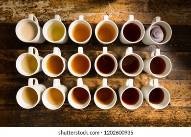 Different Types Tea Lined Grid Cups Stock Photo 1202600935 | Shutterstock