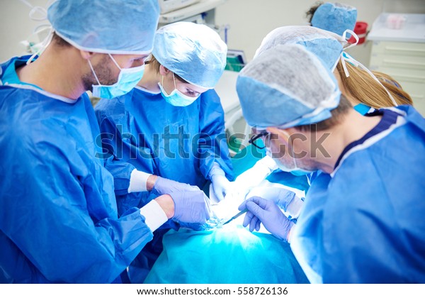 Difficult Operation Busy Surgeons Stock Photo 558726136 | Shutterstock