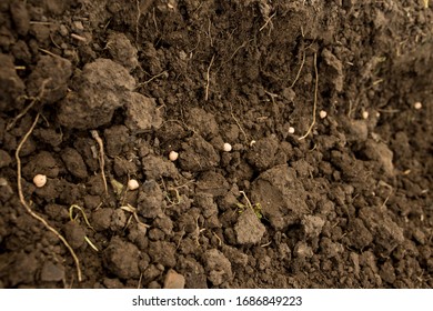 500 Clayey Soil Images, Stock Photos & Vectors | Shutterstock