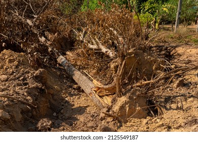 Torn-apart Images, Stock Photos & Vectors | Shutterstock